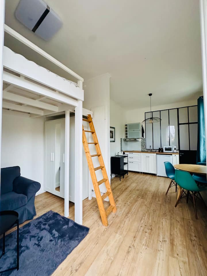 Studio Lumineuxcommercesmétro 8 - Maisons-Alfort