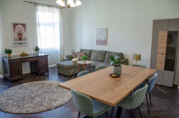 Spacious & Central, Near Fairground, 80 M² - Graz