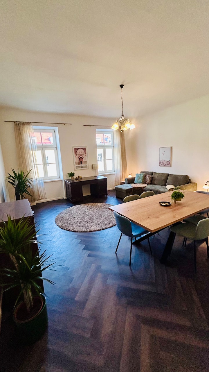 Central, Cozy & Spacious - Graz