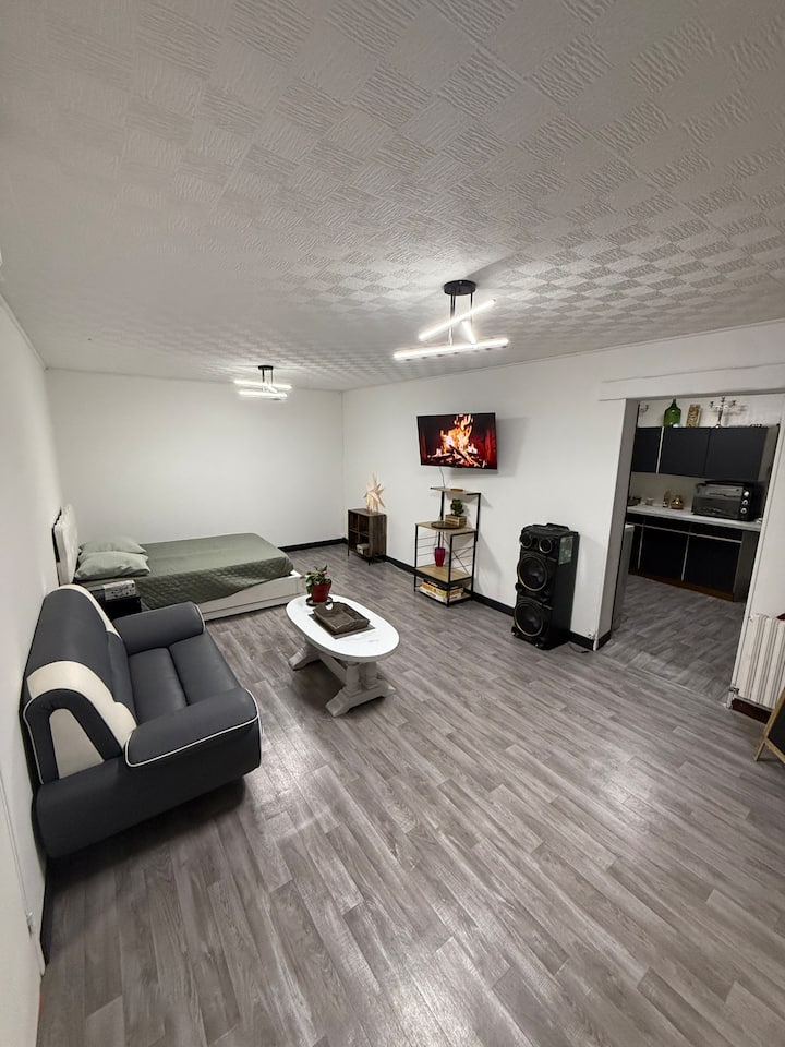 Appartement Chaleureux Athies-sous-laon - Laon