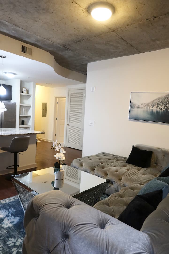 Walk To Lenox, Phipps, Shopping, Fine Dining! - Brookhaven, GA