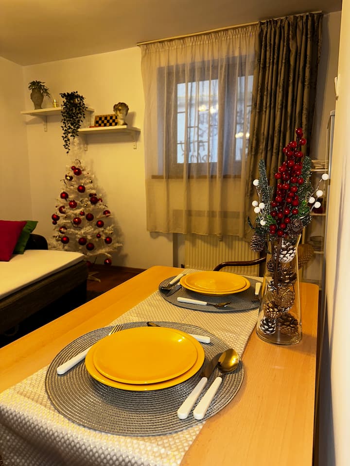 Apartament Central îN Craiova - Craiova