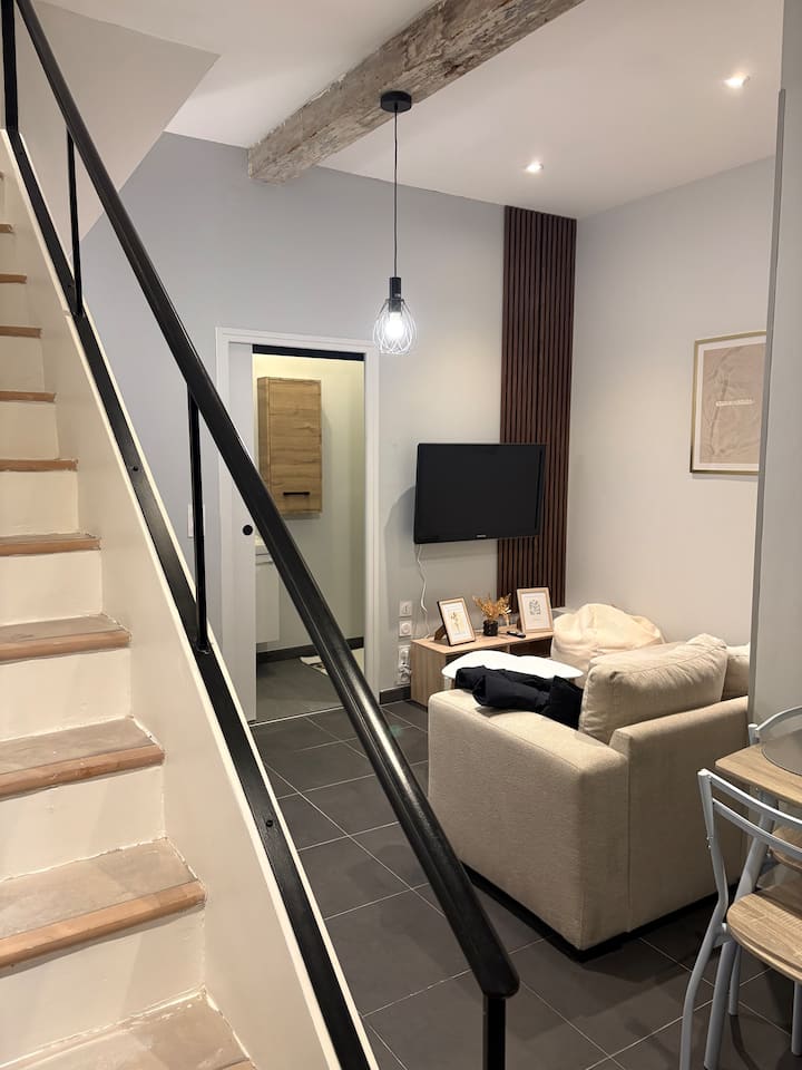 Duplex Haut De Gamme Centre Montauban - Montauban