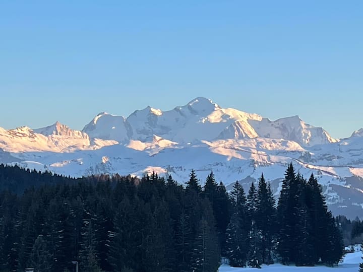 Le Praz De Lys-appartement - Taninges