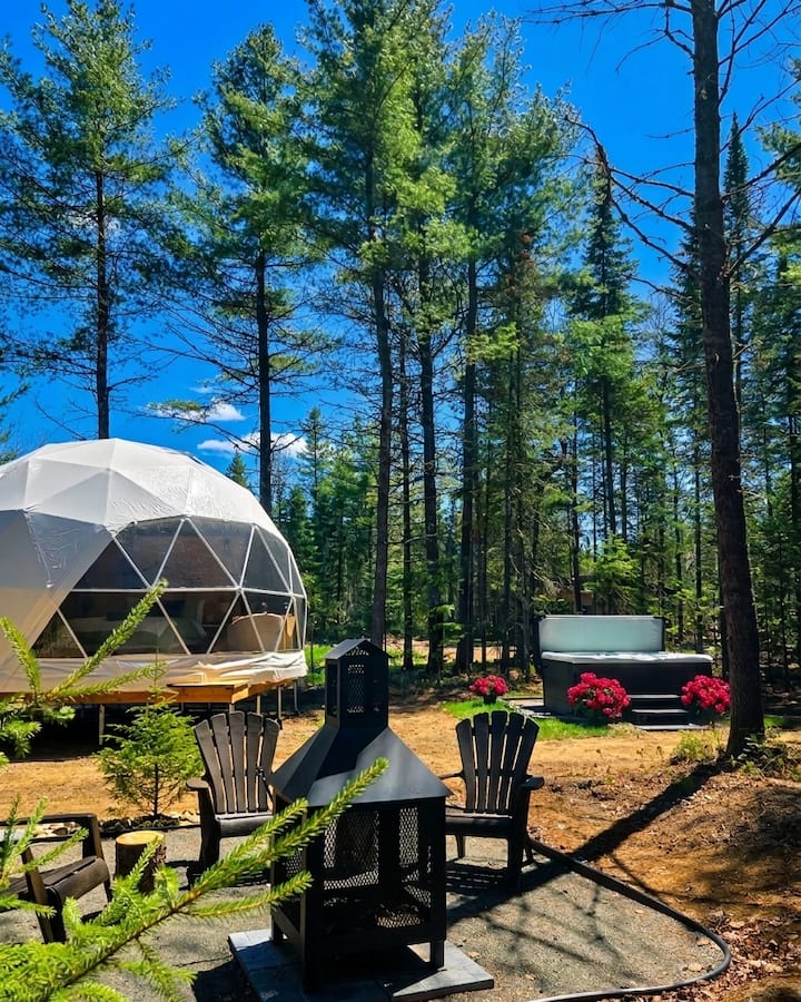 La Tortue Des Bois - Quebec
