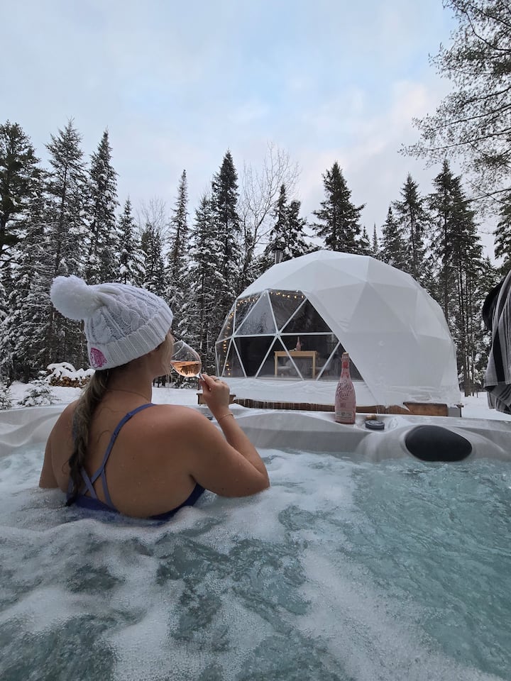 La Tortue Des Bois - 