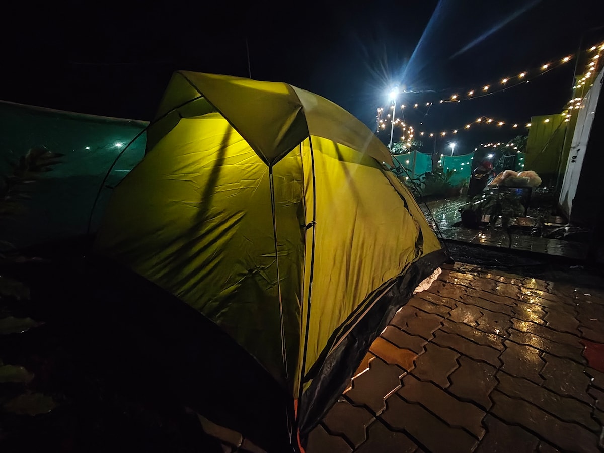 Stargazing Camping Tent - Calm | Nature | Peacocks - Tents for Rent in ...