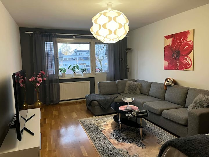 Nygatan 11 Centrumlägenhet - Mariehamn