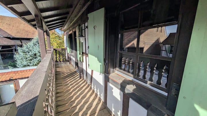 Perle Du Ried N°1 - Proche Europa-park - Rust