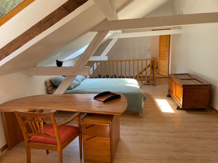 Petite Maison Sous Le Tilleul - Schiltigheim