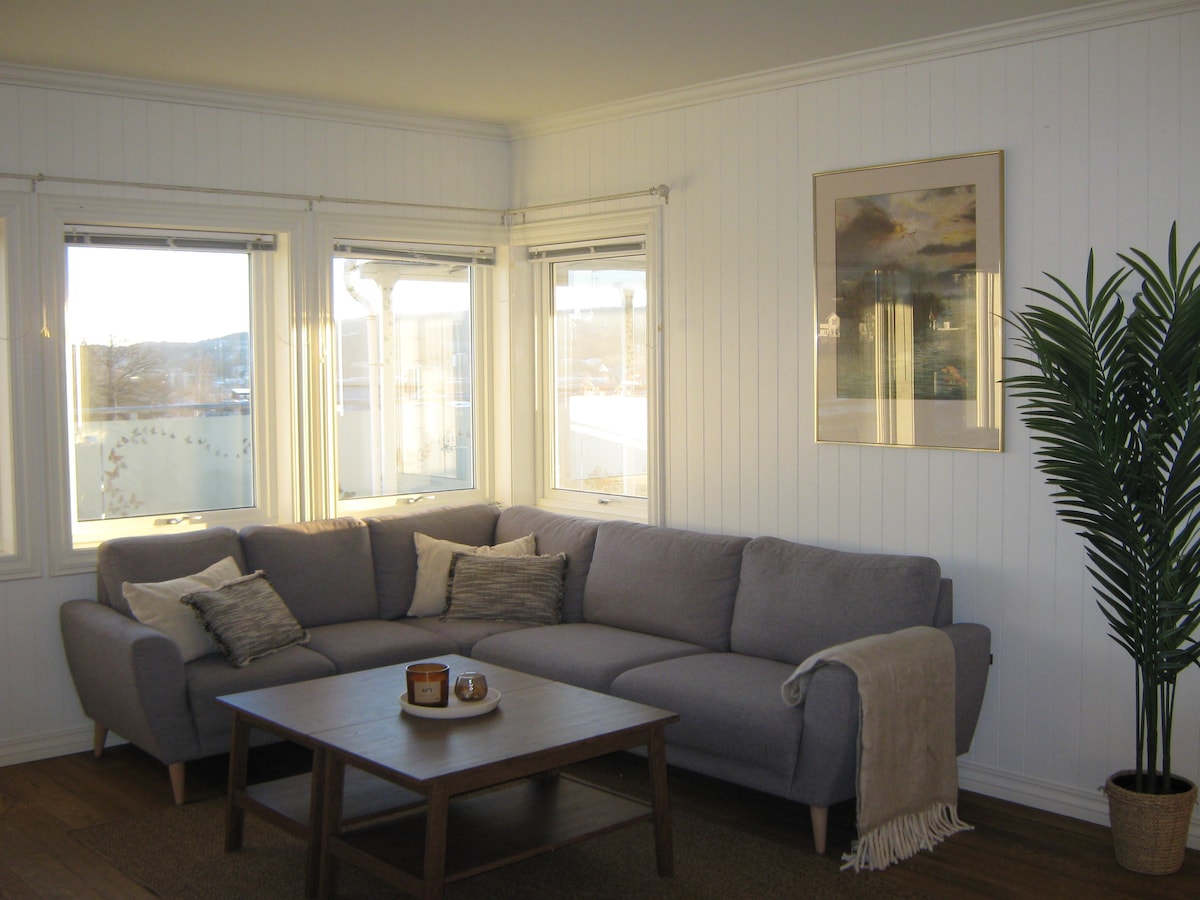 Penthouse apartment in Skien of 160 sqm with garage! - Apartments for ...