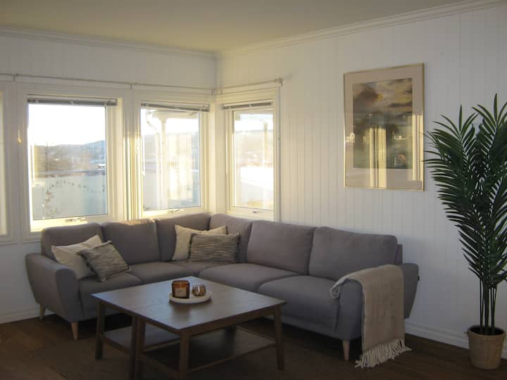 Apartment In Skien Sentrum, 160 Sqm, Penthouse - Skien
