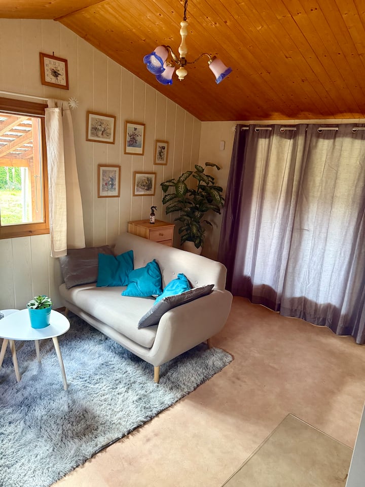 Charmant Chalet Cosy Au Calme - Nyon