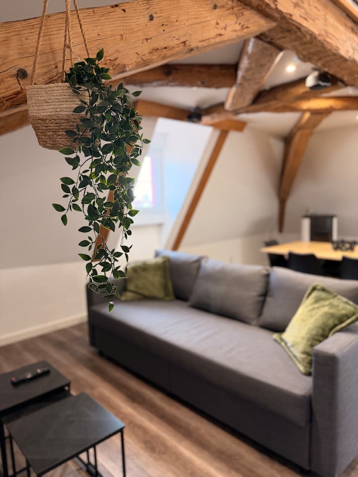 La Cotonnade Entre Vignes Et Ville - Alsacia