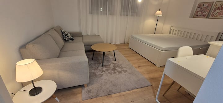 1-zimmer-suite In Kirchheim/ Teck (Souterrain) - Kirchheim unter Teck