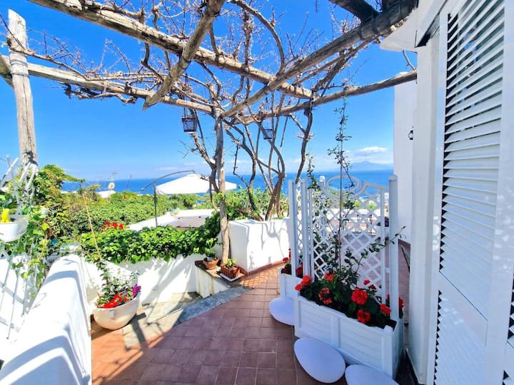 Stanza Terra Il Cantuccio Di Capri Rooms - Capri