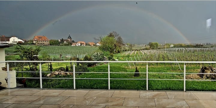 Villa Anna Maria - Landau