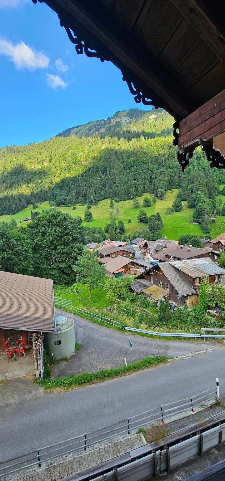 Hotel Alphenrose Saxeten - Wengen