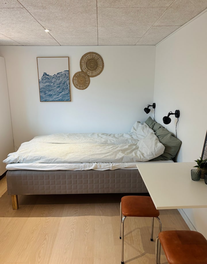Nyt Og Hyggeligt Gæstehus - Copenhagen