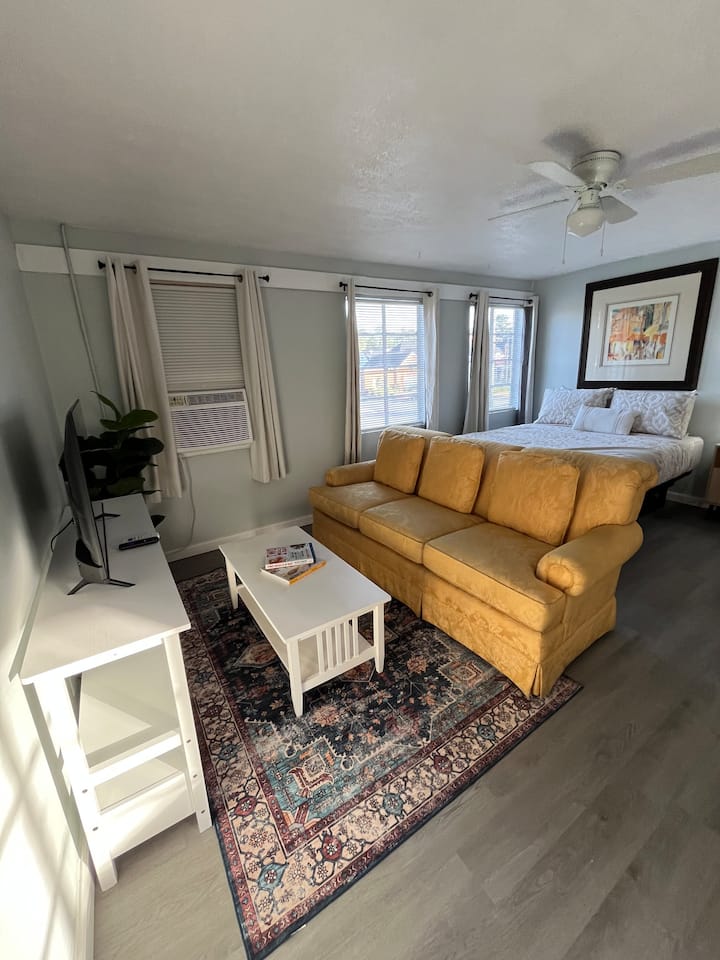 Historic Luxe 1br • 2 Queens • 2nd Fl • Near Sgmc! - Valdosta, GA