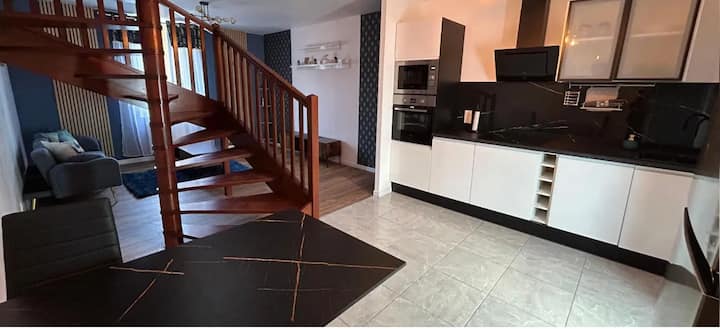 Charmant Duplex 3 Pièces à Oyonnax - Oyonnax