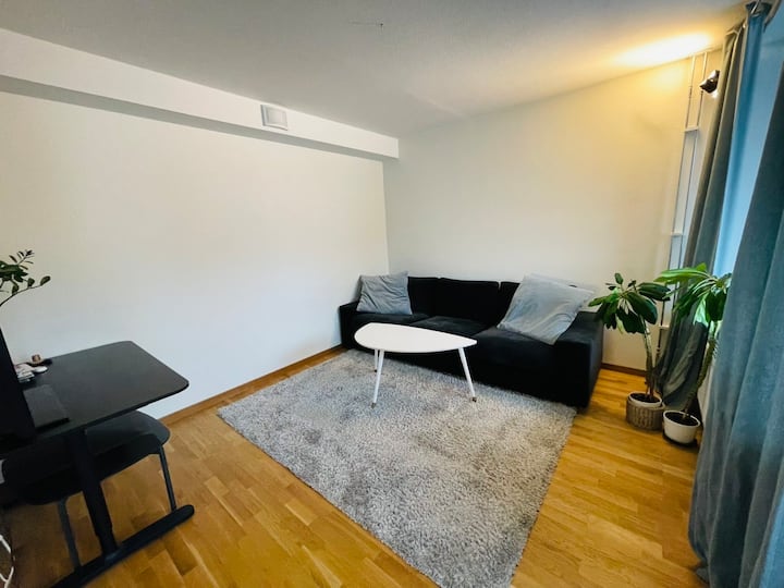 Charming Flat In The Heart Of Uppsala - Uppsala