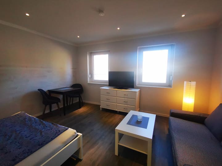 Gemütliches Appartement In Zwickau - Zwickau