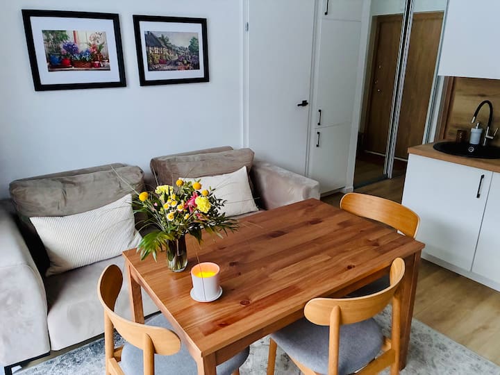 Homey Apartment: Perfect For Work & Travel - Vilnius