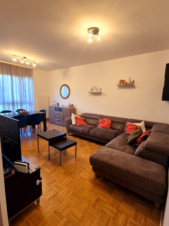 4 Pièces Grand-saconnex - Geneva