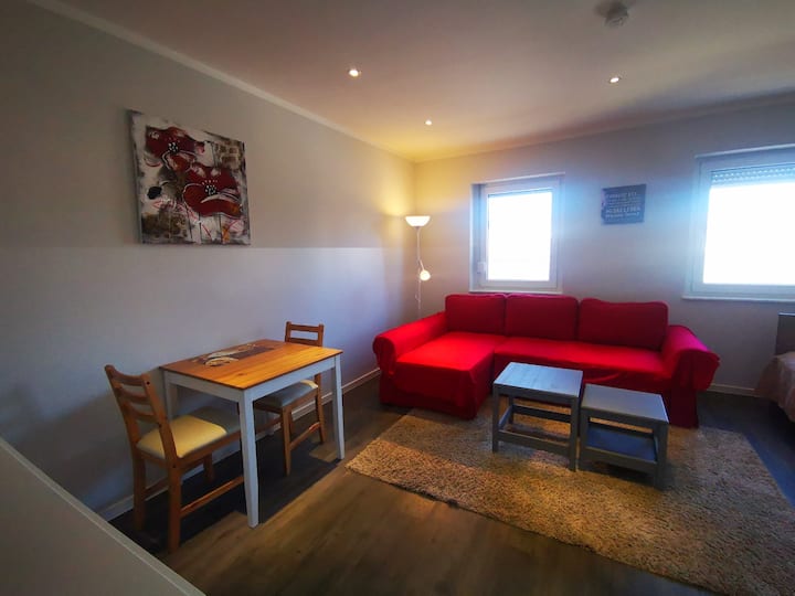 Stilvolles Appartement In Zwickau - Zwickau