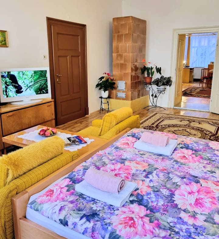 Apartmán V Historickom Dome V Centre Levoče - Levoča