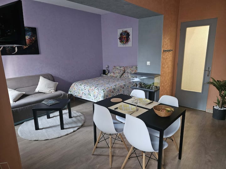 Studio Charmant Entre Thermes & Volcans D'auvergne - Châtel-Guyon