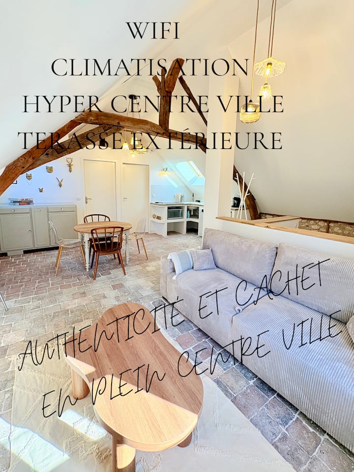 L’ecrin Saint Denis, Pépite Au Centre D’amboise! - Amboise