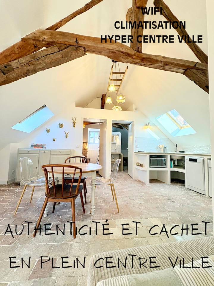 L’ecrin Saint Denis, Pépite Au Centre D’amboise! - Amboise