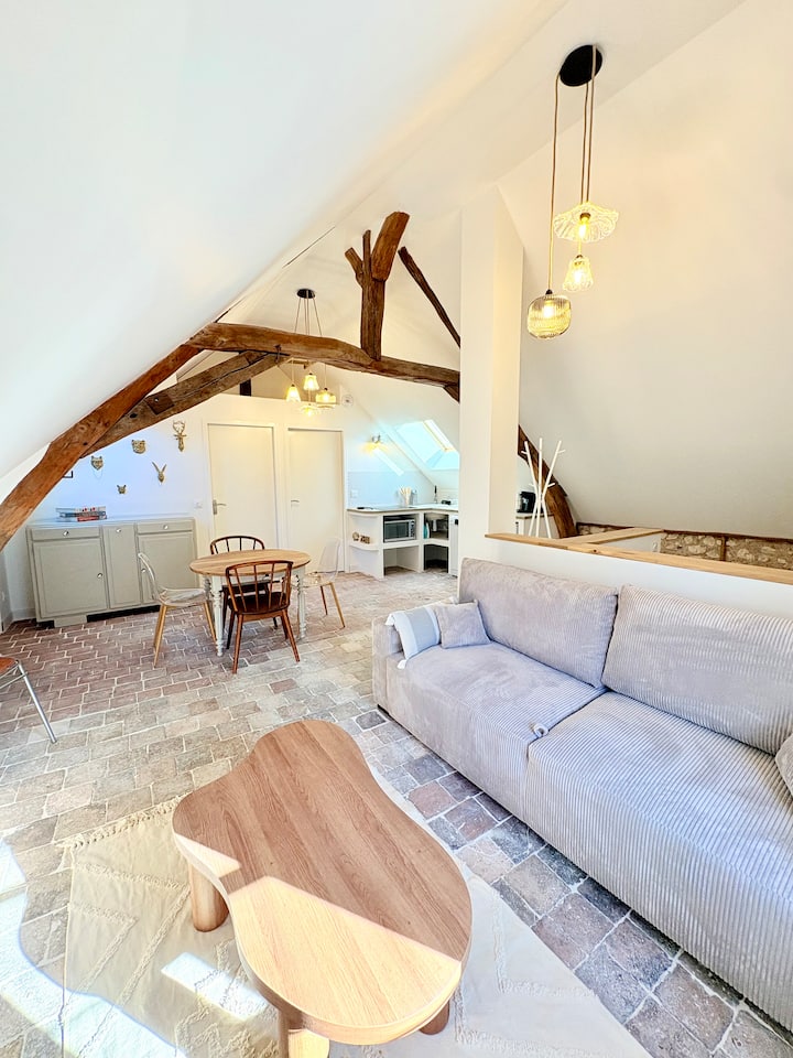 L’ecrin Saint Denis, Pépite Au Centre D’amboise! - Amboise