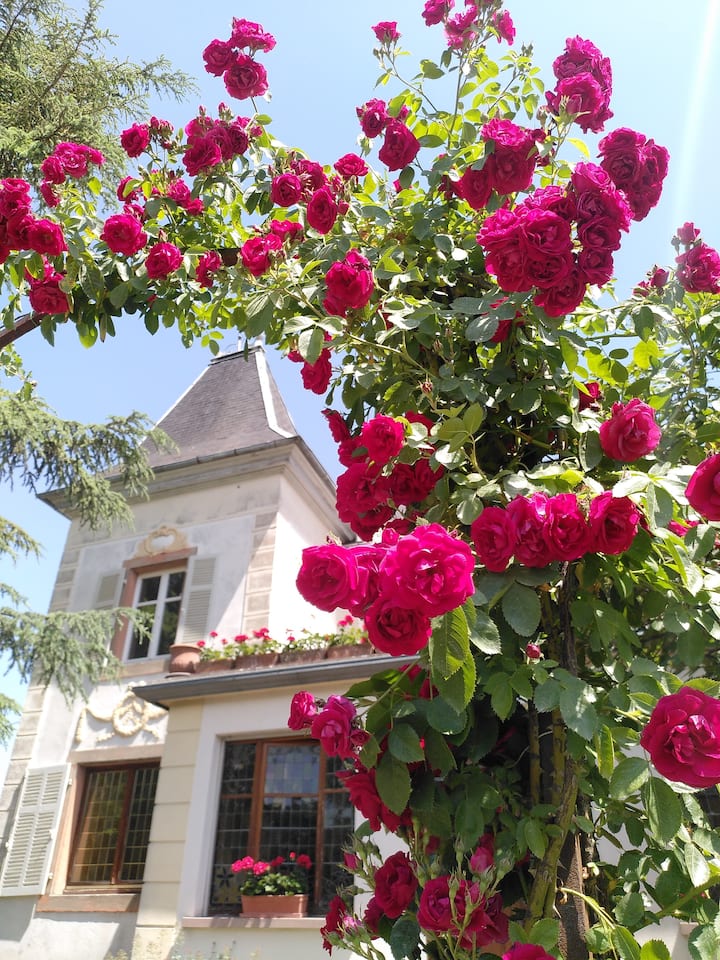 Chambre D'hôtes Au Cœur D'un Domaine Viticole. - Eguisheim