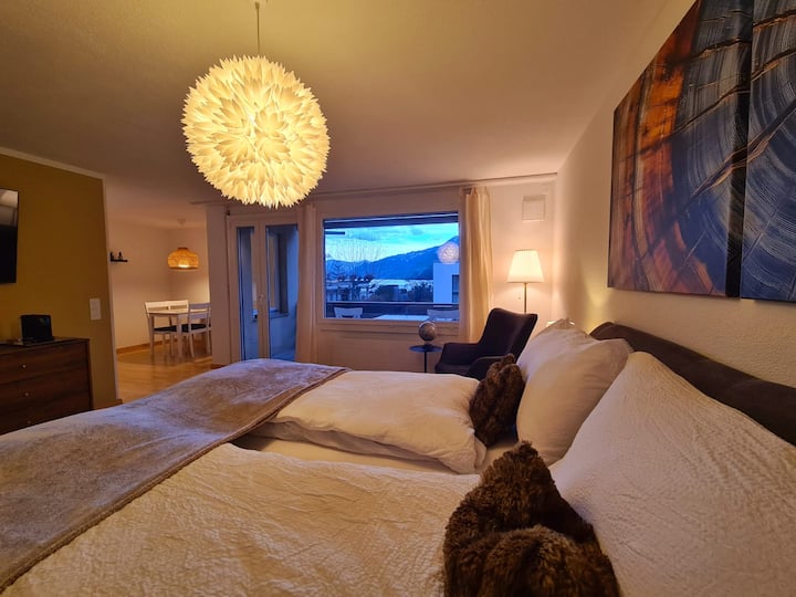 Fli Apartment - Amden