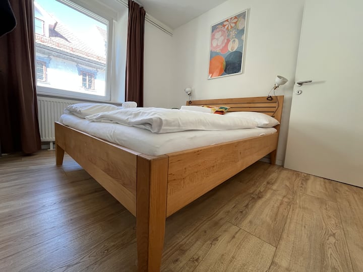 City Apartment Graz - 格拉茨