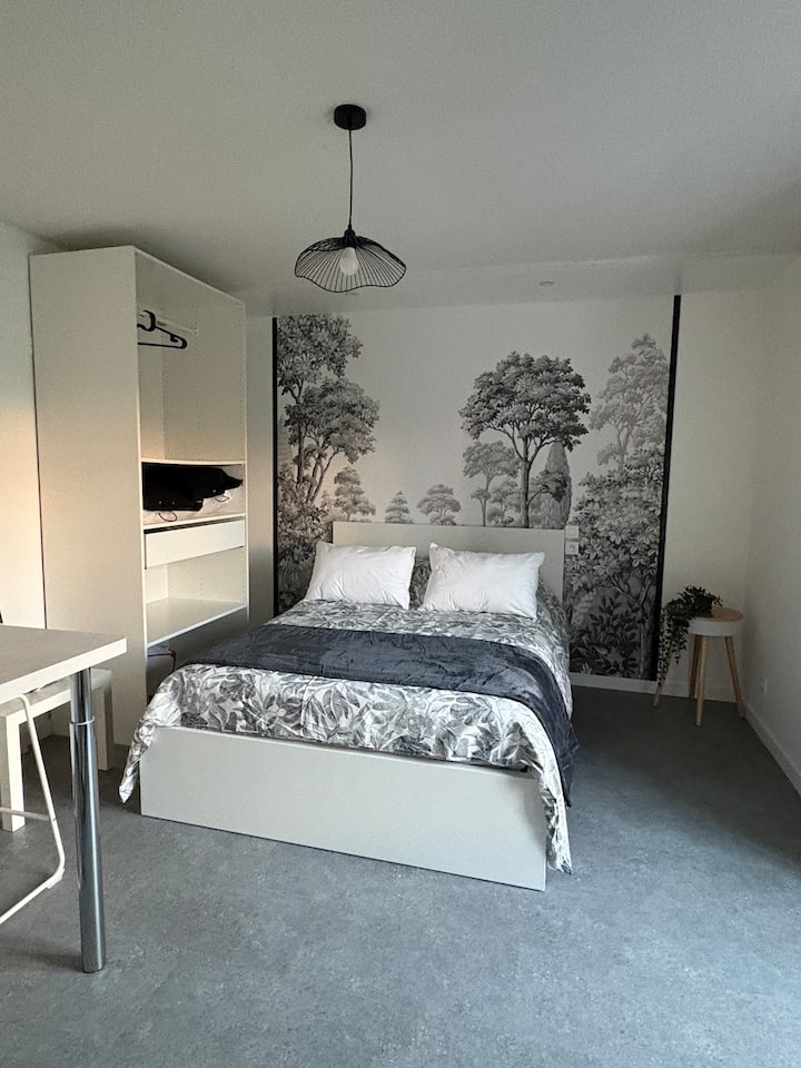 Studio Cosy De La Ville Bresset - Ploufragan