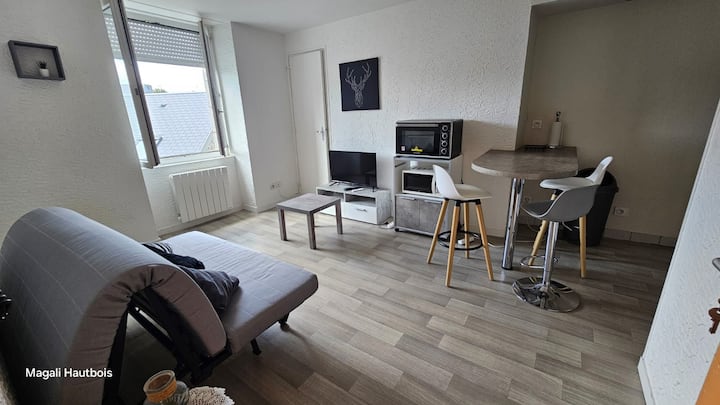 Studio Meublé En Centre-ville - Avranches