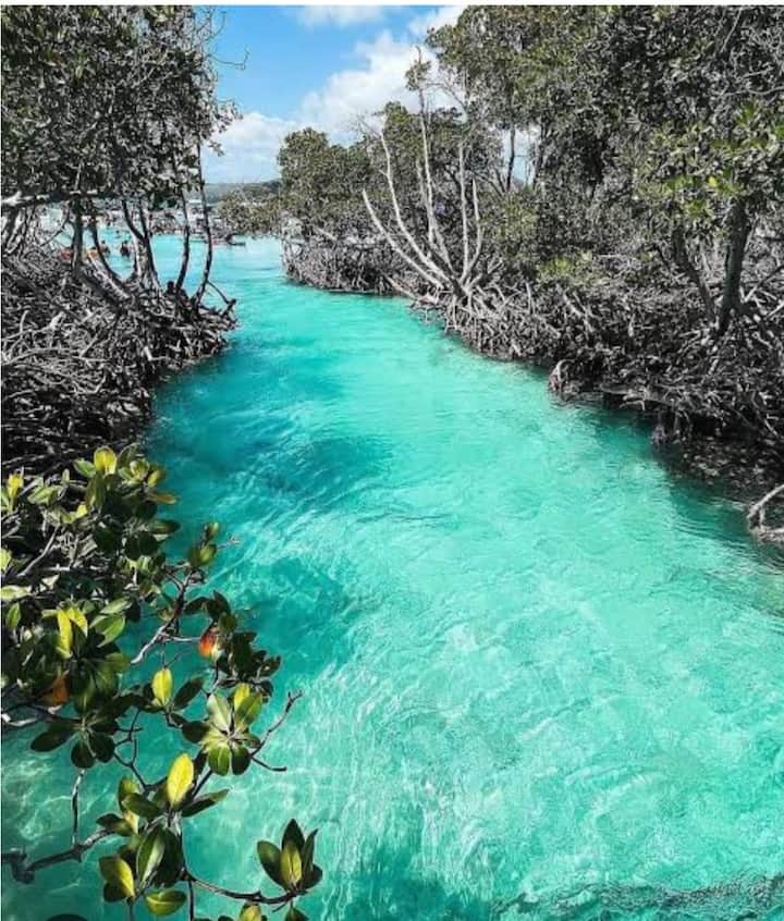 Welcome To The Cane Sugar Apartment. - Guanica