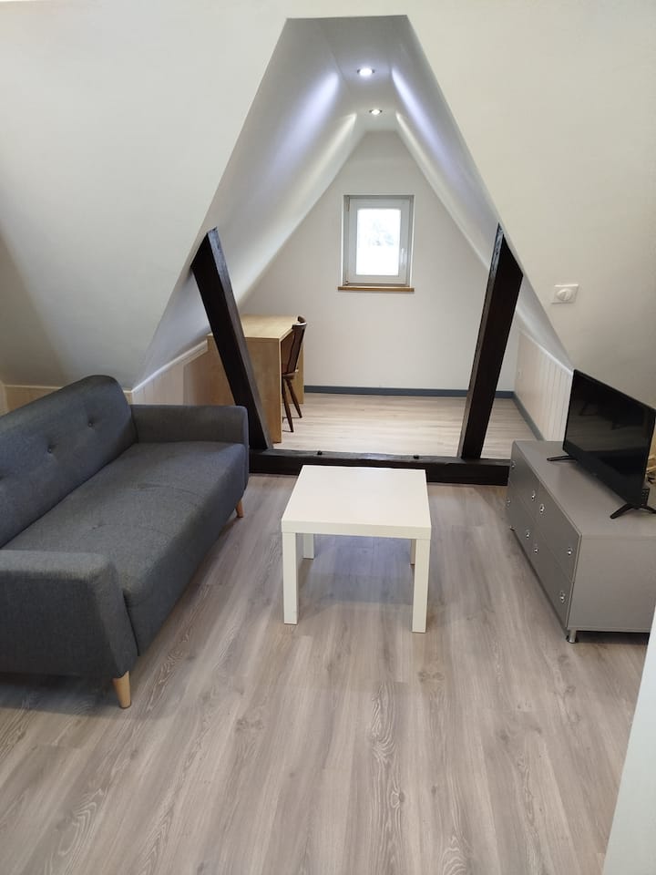 Appartement Combles à Colmar - Eguisheim