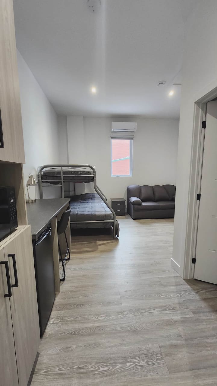 Chambre Avec Salle De Bain Privée - Thetford Mines