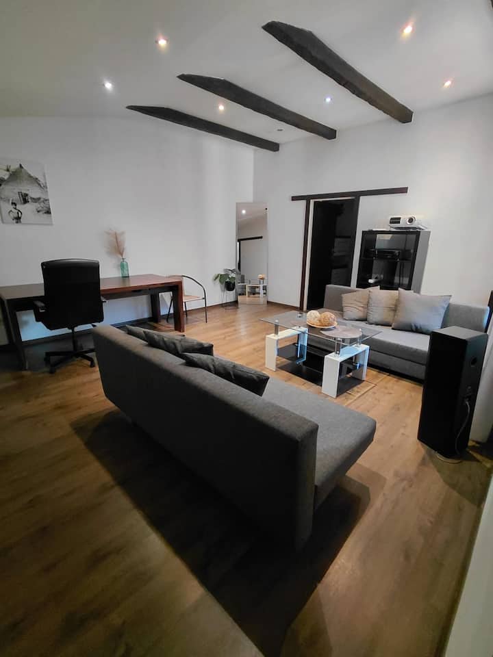 Chopin Spacious 2-bedrooms Balcony Apartment - Katowice