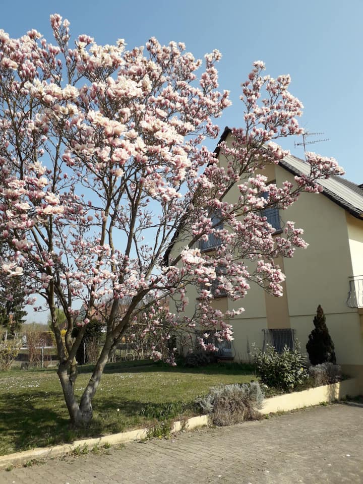 Grande Maison Pour 8 Personnes Porte Du Ried - Colmar