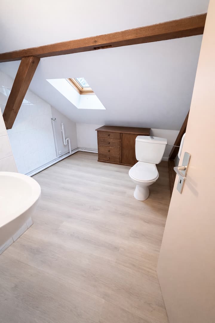 Appartement Sous Les Toits Aménagé - Strassburg