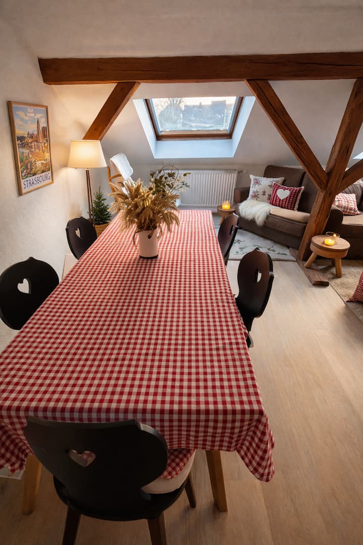 Appartement Cosy Sous Les Toits, Calme Et Lumineux - Strasbourg