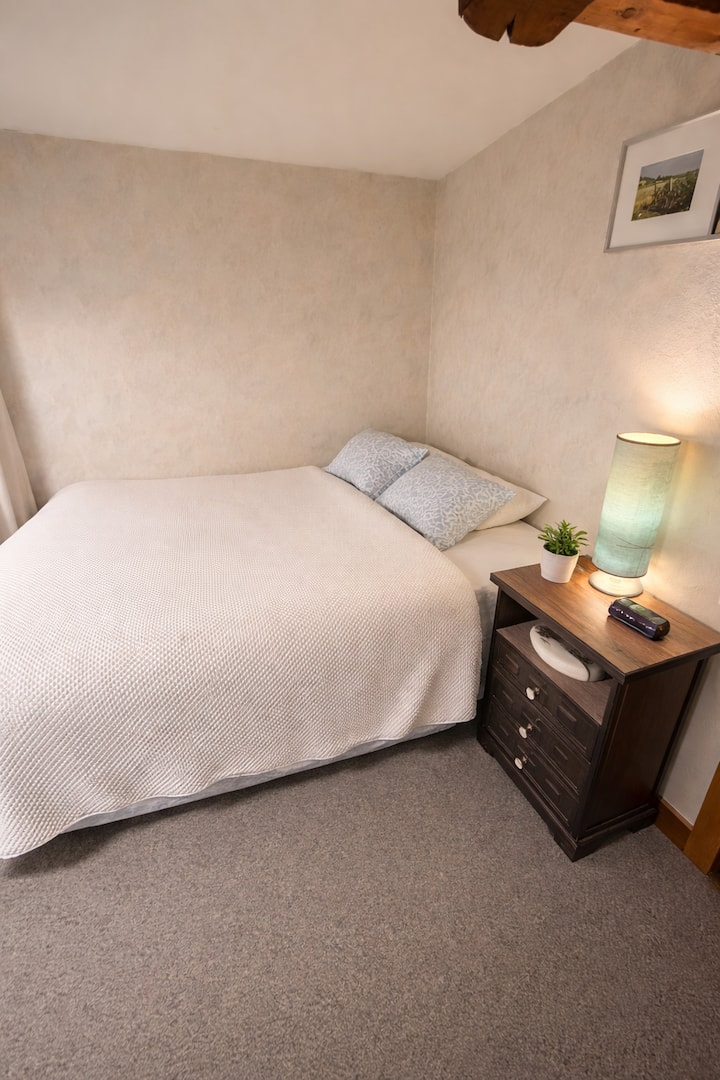 Appartement Sous Les Toits Aménagé - Strassburg