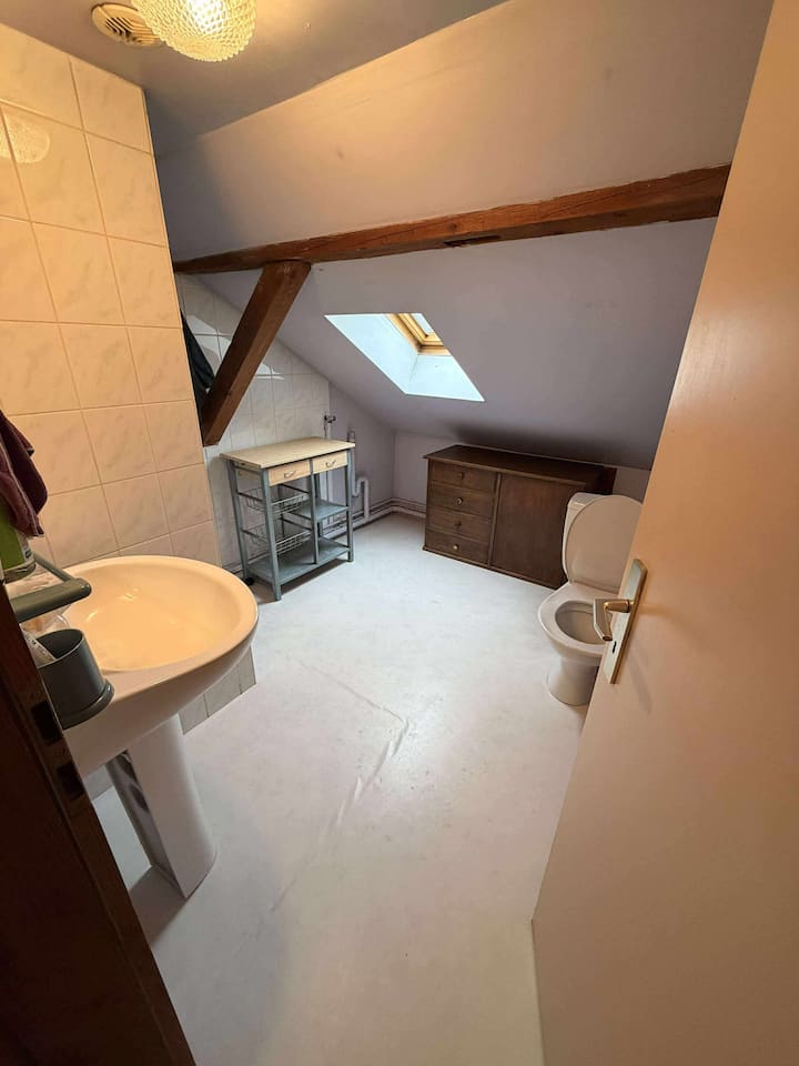 ÉTage Aménagé Dans Les Combles - Strasbourg