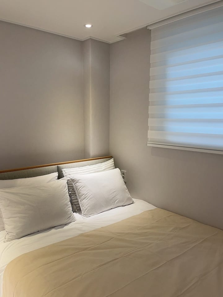 Stay Today - South Korea